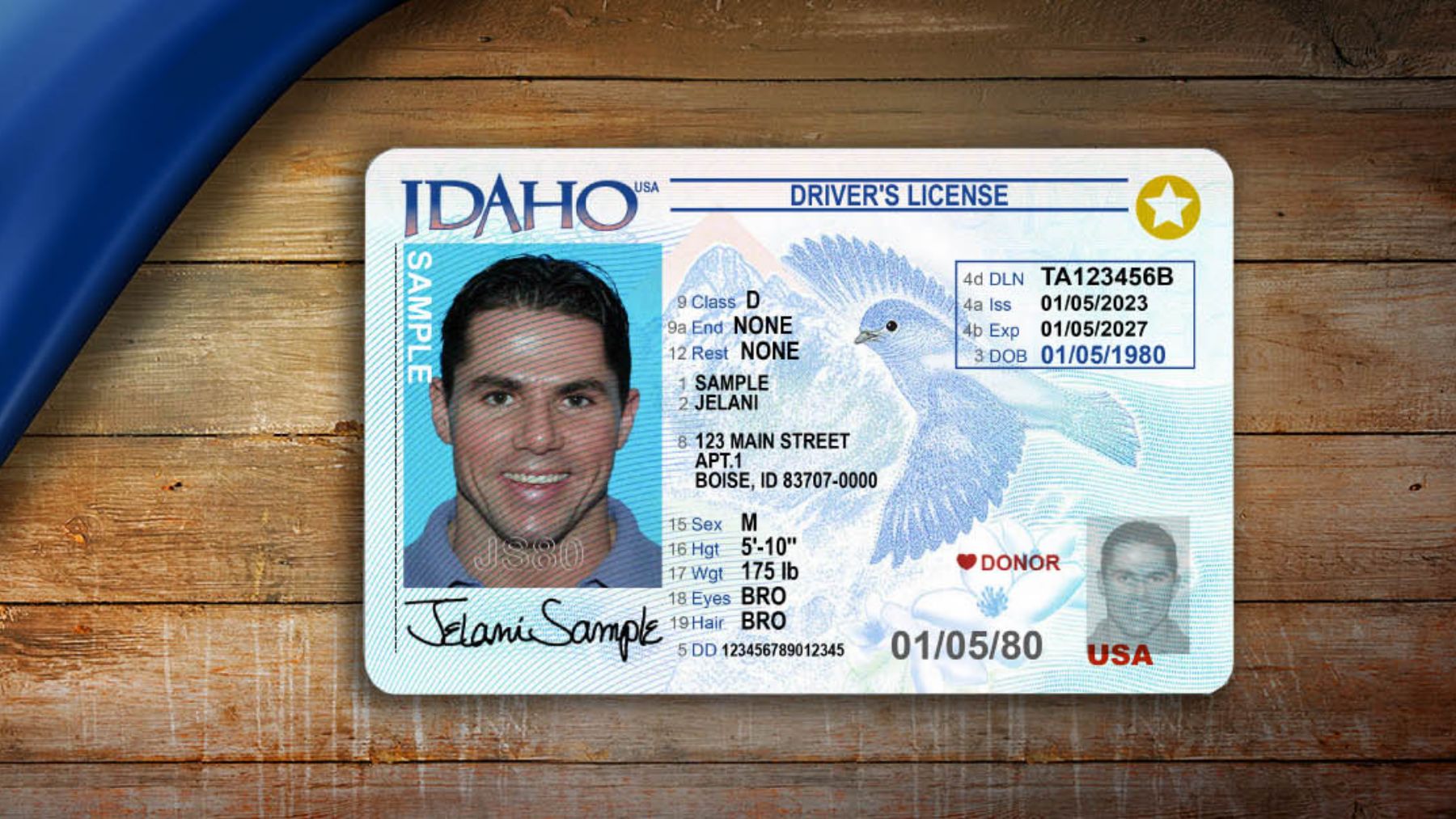 Say goodbye to driver's licenses as you know them - this state is ...