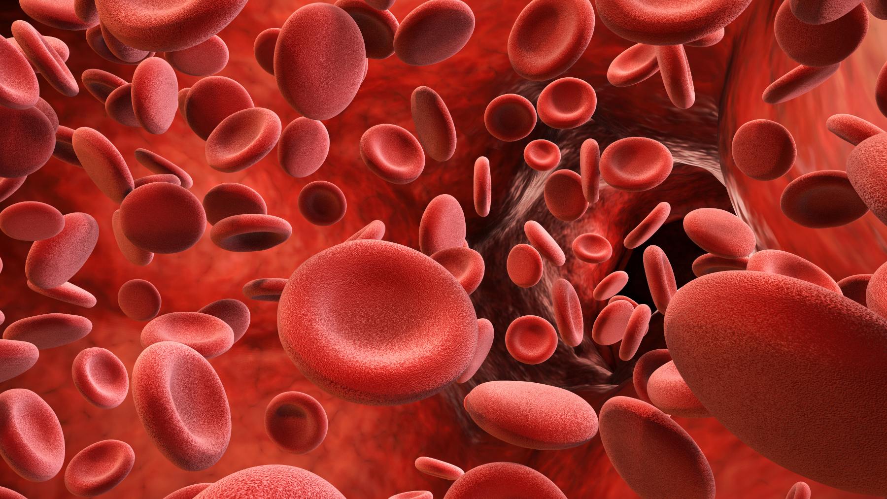 The NHS and the University of Bristol discover the AB0 blood group ...