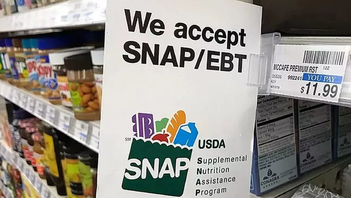Good news if you receive SNAP - New stimulus checks and SNAP benefits ...