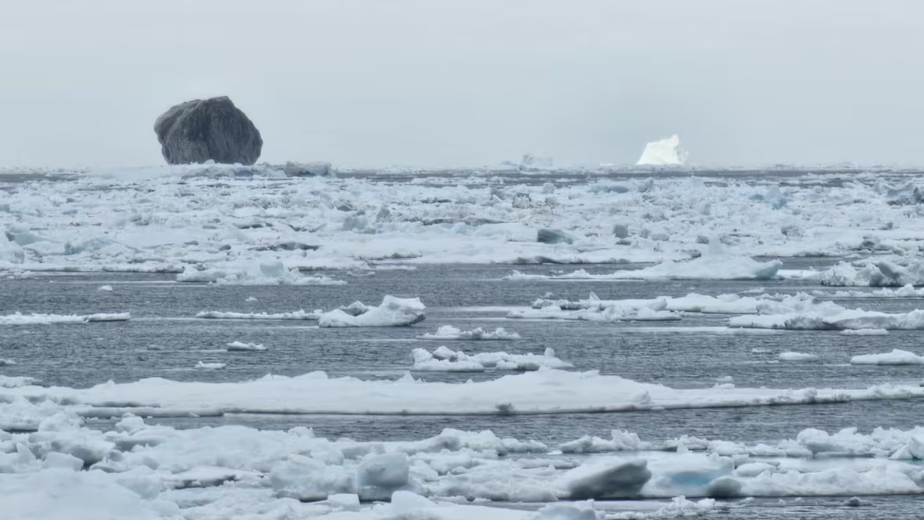 It's official - a black iceberg appears in the ocean and theories about ...