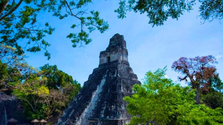 Neither temple nor village - 3,000-year-old Mayan city discovered in Guatemala changes what we ...