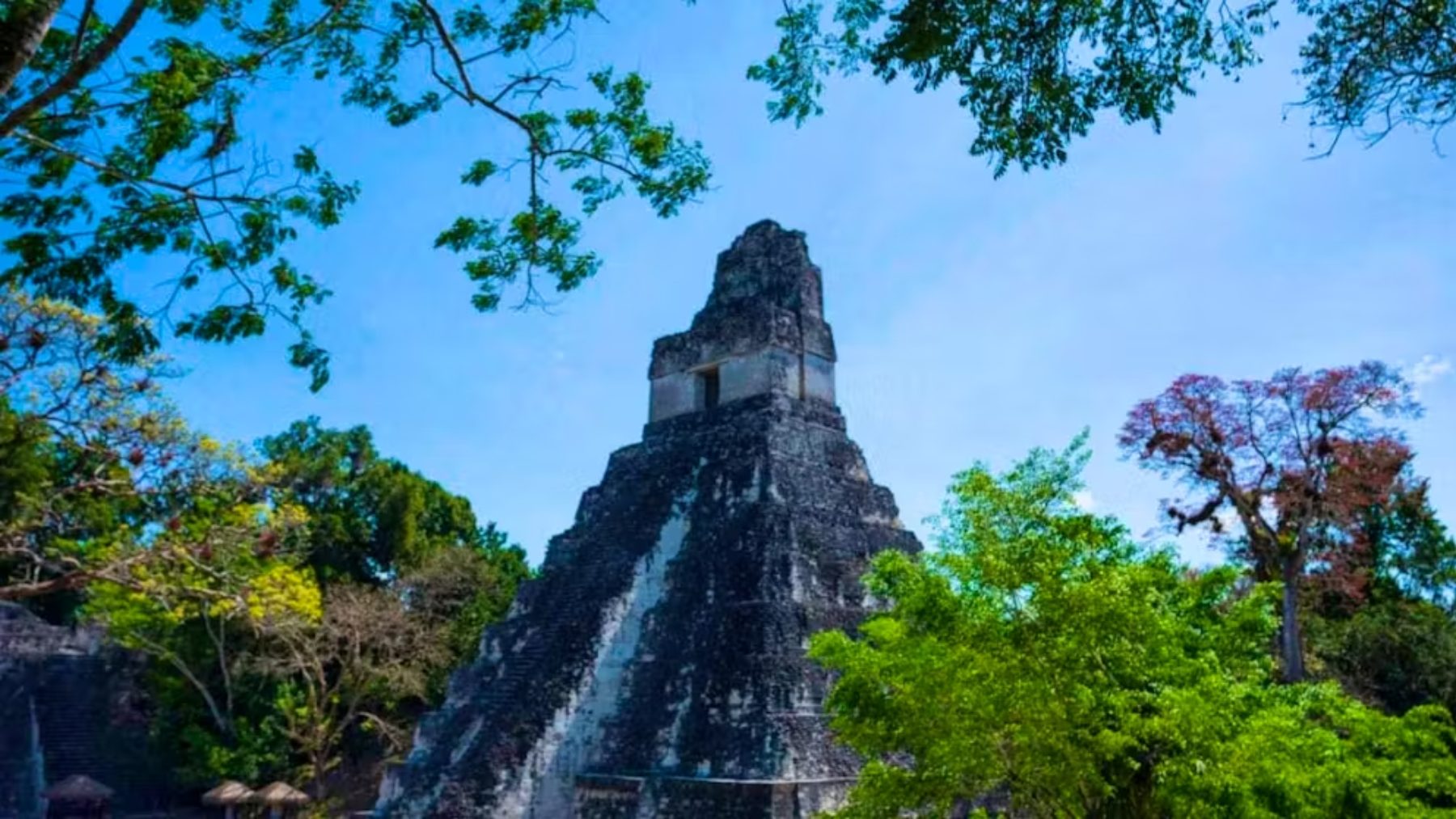 Neither temple nor village - 3,000-year-old Mayan city discovered in ...