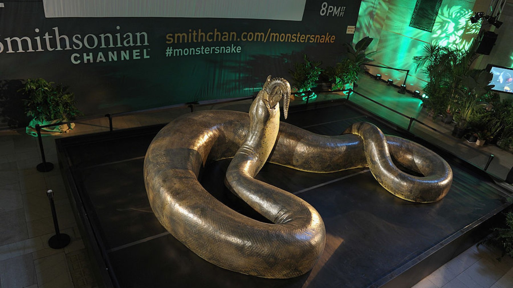 Scientists in shock - monstrous snake found that weighs more than a car ...