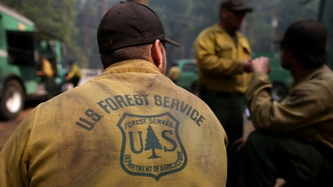 Goodbye to the Forest Service - up to 9 regional offices eliminated and ...