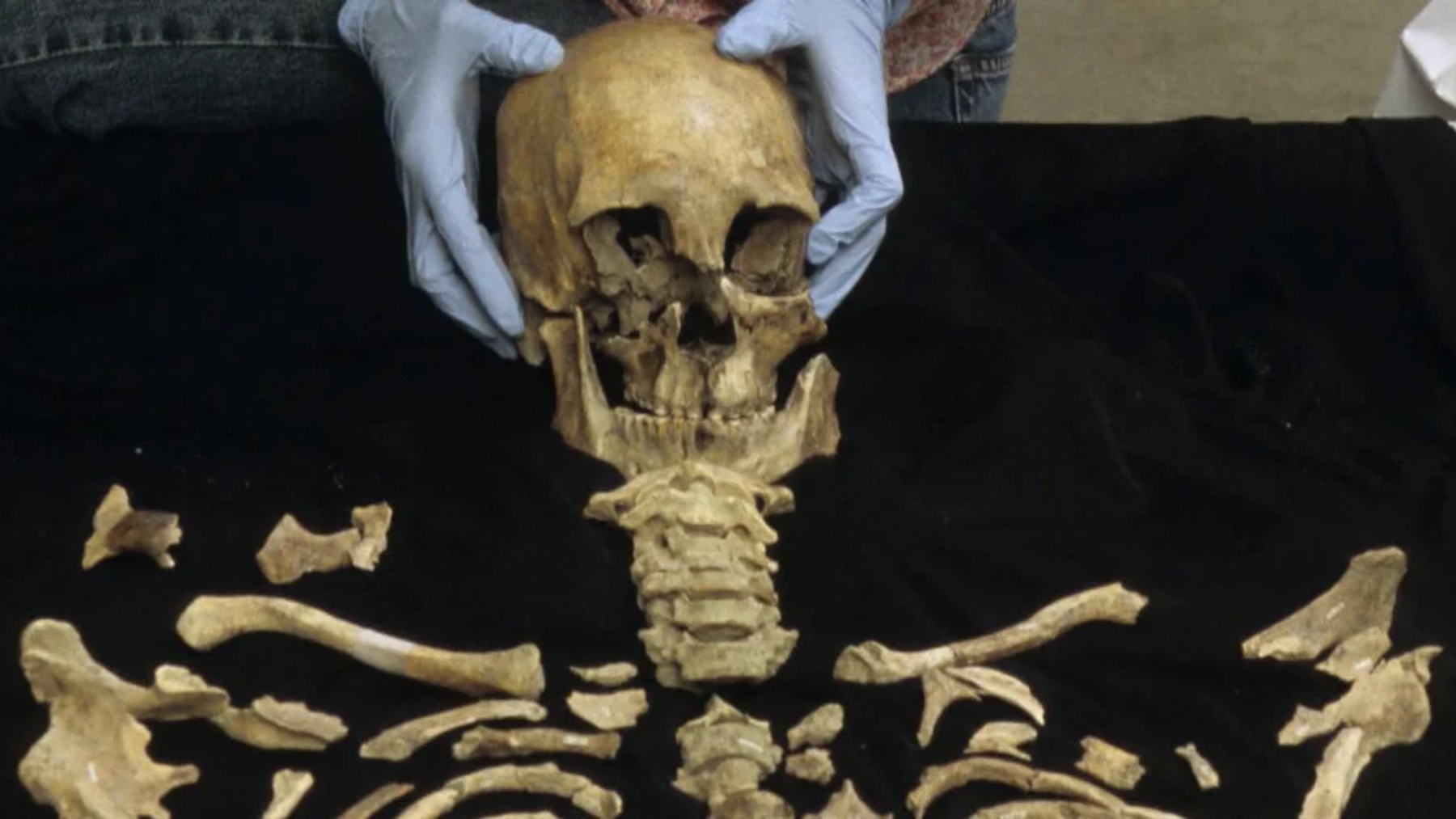 It's official—8,400-year-old skeleton buried with honors by native ...