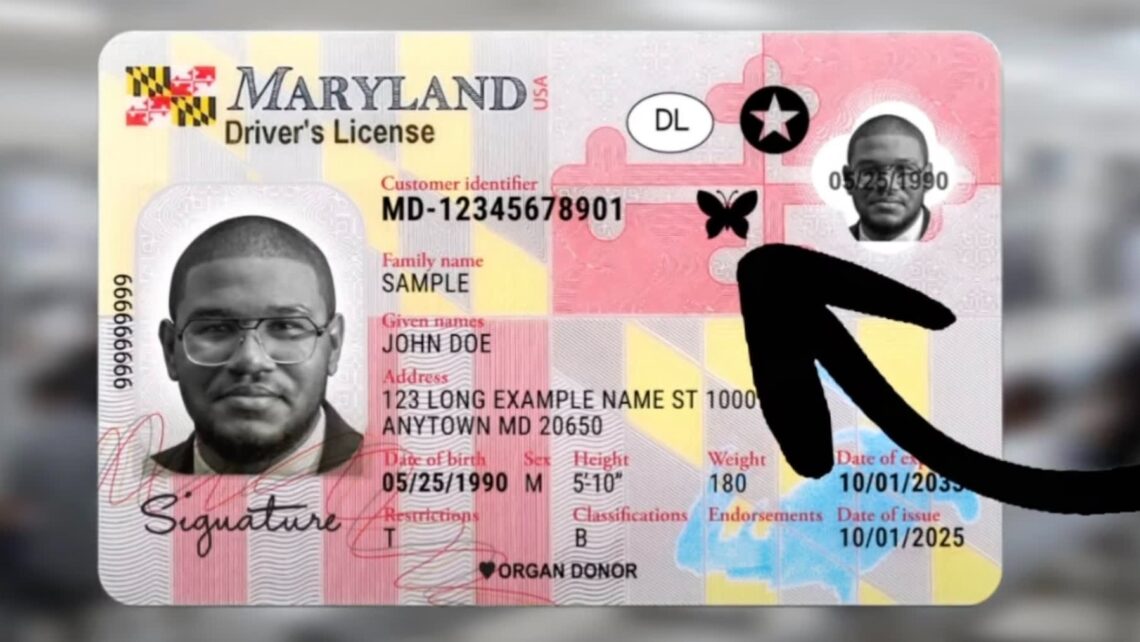 Confirmed—Maryland adds butterfly symbol to driver's licenses for ...