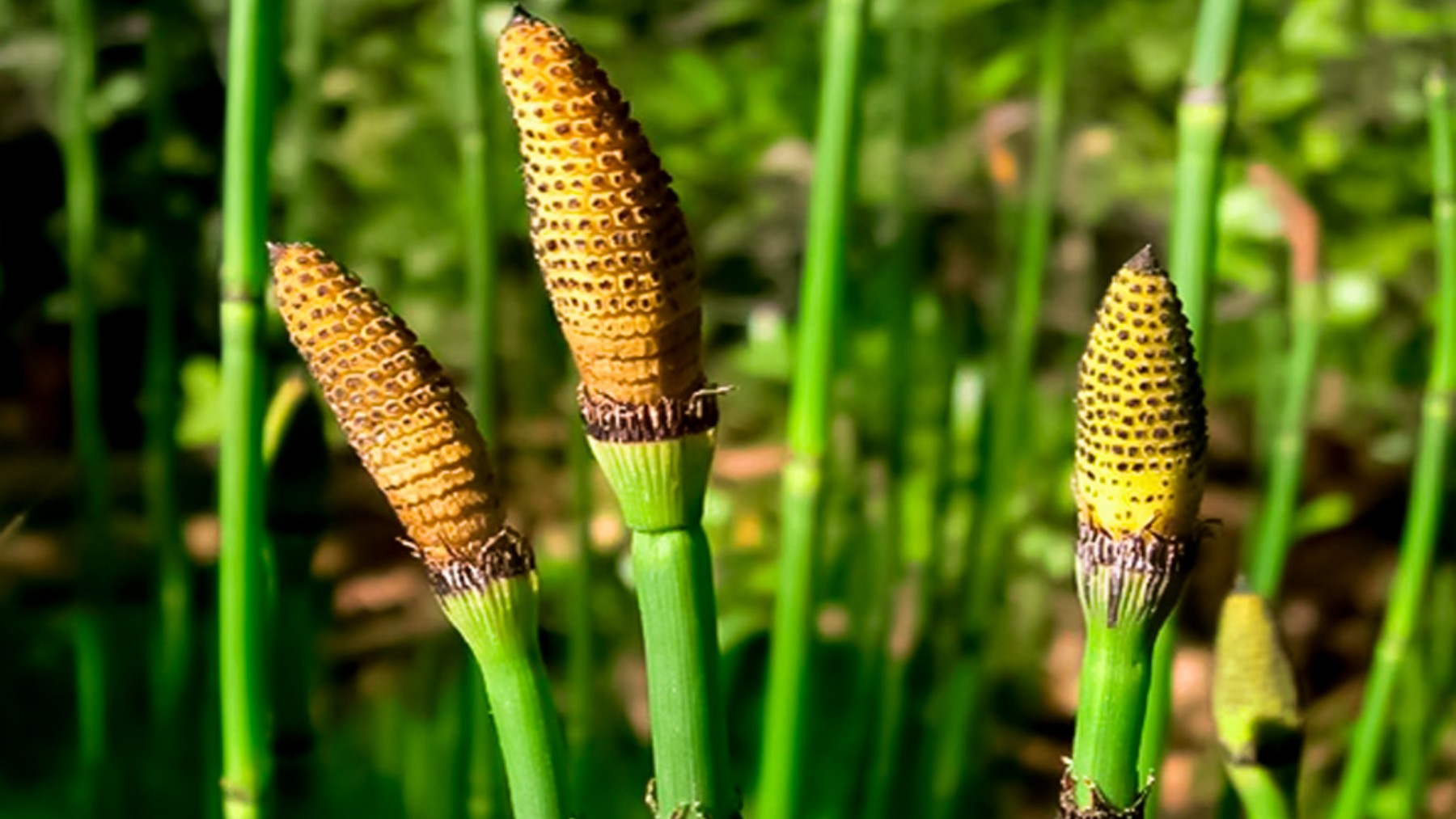 Neither laboratory nor science fiction - Professor Zachary Sharp claims ...